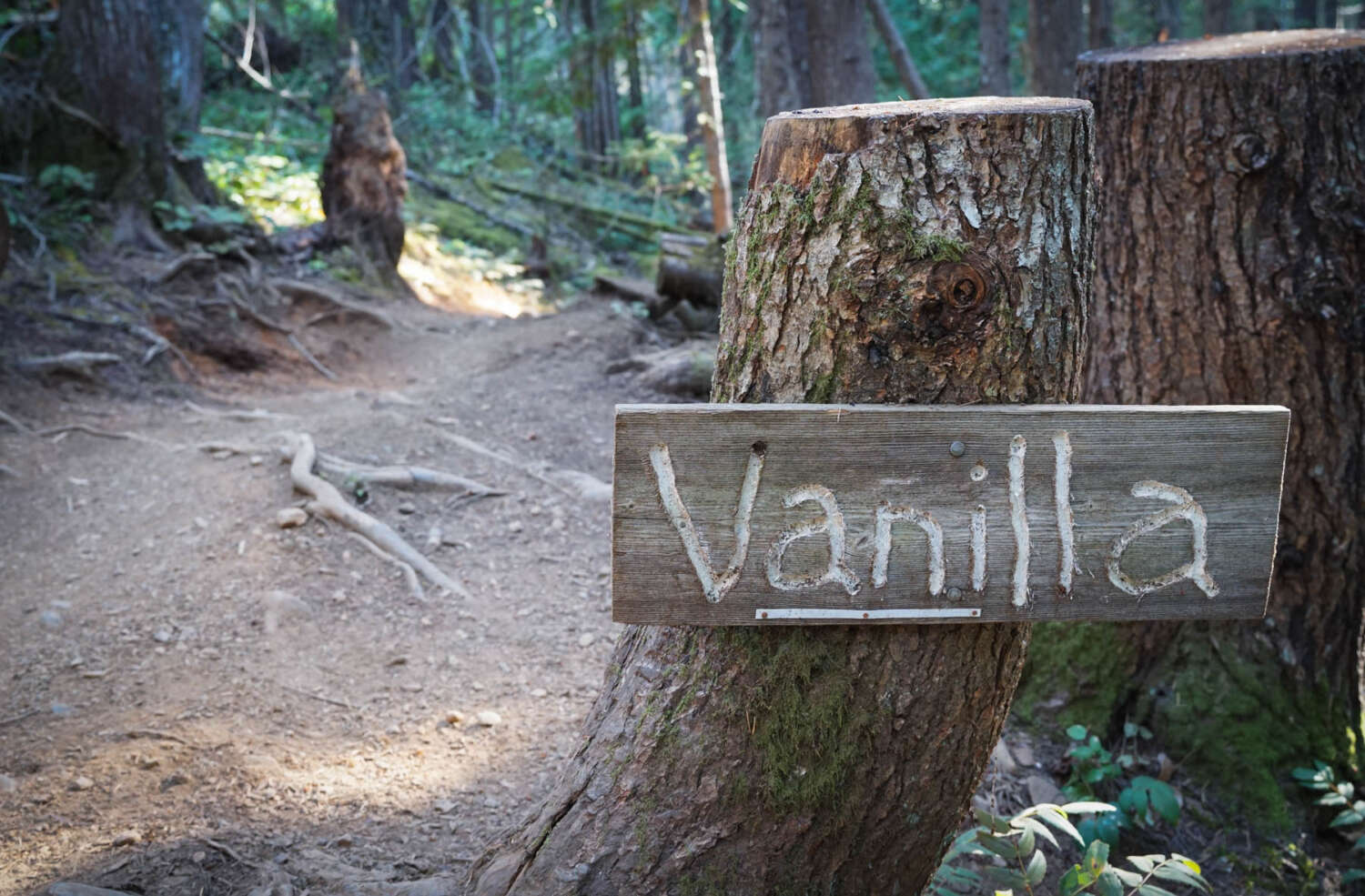 Island Preview Series - Cumberland - BC Bike Race