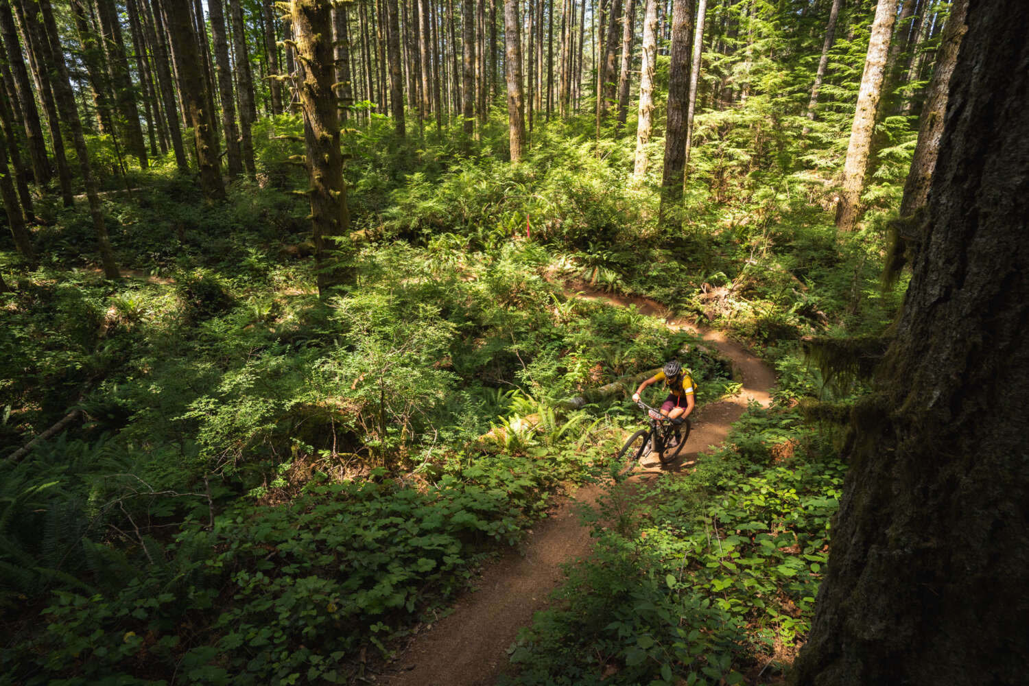 Day 5 Photos - BC Bike Race