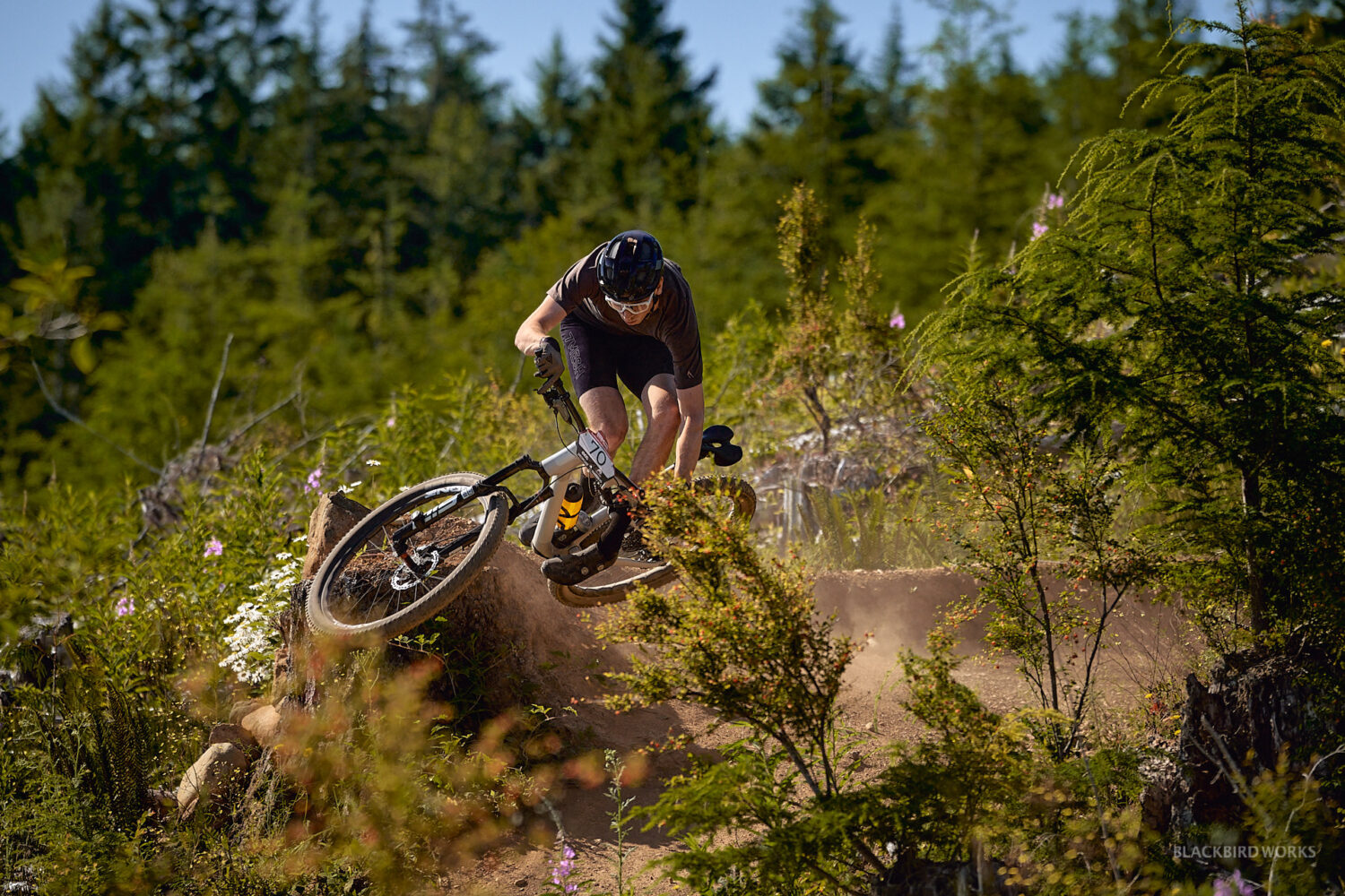 2024 BCBR: Day 7 Cumberland - Presented by Specialized - BC Bike Race